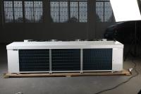 China EE Series Commercial Double-Side Air Cooler for sale