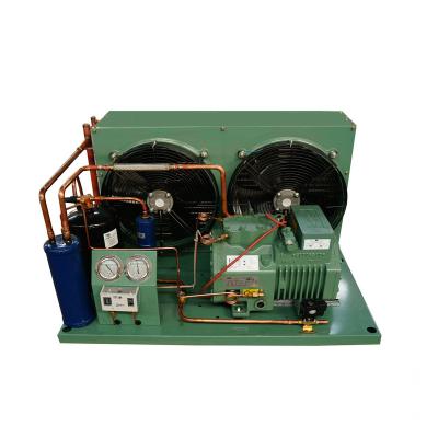 China 380V/50HZ Cold Room Condensing Unit with Sliding Door and PU Panel Door Online Support After Service for sale