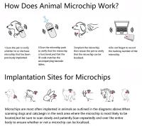 China Injectable RFID Application Glass Tag For Fish Tracking Dog Animal ID Pet Microchip for sale