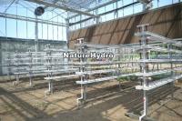 China Hydroponic NFT Grow System with Gullies, Fixed & Sliding Benches, and Vertical Configurations for Commercial Agriculture for sale