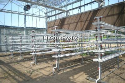 China Hydroponic NFT Grow System with Gullies, Fixed & Sliding Benches, and Vertical Configurations for Commercial Agriculture for sale