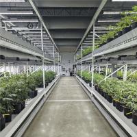 China Commercial Vertical Grow System for Indoor Farming - 300% Space Efficiency with Automated Irrigation for sale