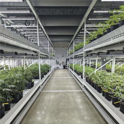 China Commercial Vertical Grow System for Indoor Farming - 300% Space Efficiency with Automated Irrigation for sale