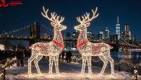 China Custom 3D Reindeer Light Sculpture Waterproof LED Outdoor Christmas Deer Statues for sale