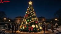 China Customized Giant LED Christmas Tree Light Christmas Lanterns Metal Frame Waterproof for sale