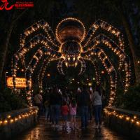 China Tarantula Halloween Lanterns Illuminated Festival Display Lantern for sale