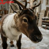 China Custom Realistic Animatronic Reindeer For Holiday Theme Park Displays for sale