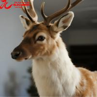 China Custom Realistic Animatronic Reindeer For Holiday Theme Park Displays for sale