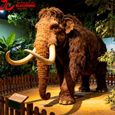 China Lifelike Animatronic Mammoth Model Customization Outdoor Zoo Display for sale