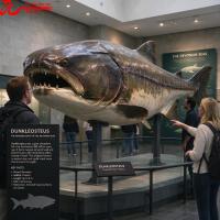 China Museums Dunkleosteus Model Fiberglass Sculptures Indoor Outdoor for sale