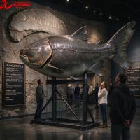 China Museums Dunkleosteus Model Fiberglass Sculptures Indoor Outdoor for sale