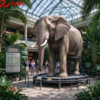 China Realistic Large Fiberglass Elephant Model For Resorts Commercial Spaces for sale