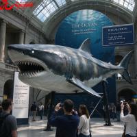 China Outdoor Megalodon Model Fibreglass Animal Statues For Exhibitions for sale