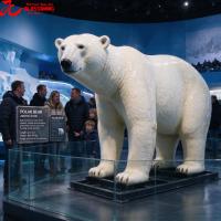 China Customised FRP Realistic Polar Bear Model For Museum And Theme Park for sale
