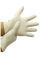 China Ambidextrous Clear Food Service Gloves Prevent Roll Back High Softness for sale