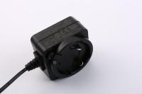 China 6W Interchangeable Plug Power Adapter 5V 1A 5V 1.2A 6V 1A 12V 0.5A for sale