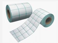 China White Rectangle Paper Adhesive Sticker Labels Unprinted In Roll for sale