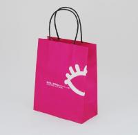China Exquisite Handle Paper Shopping Bag / Gift Paper Bag With Custom Logo Printed for sale
