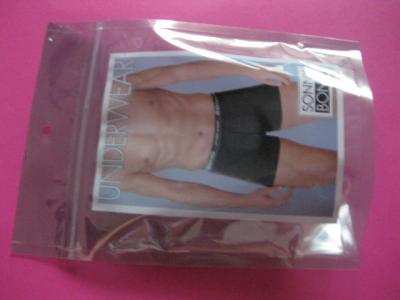 China Plastic Stand Up Zipper Custom Printing Garment Packaging Bag For Underware for sale