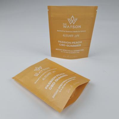 China MOPP Compostable Kraft Paper Bag Custom Standing Pouch Zipper Moisture Proof For Food for sale