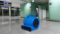 China YL-805 220V Portable Air Blower with 75 dBA for Fast Drying for sale