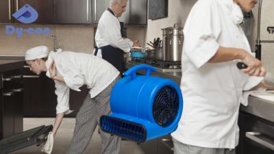 China Fast-Drying Blower For Commercial Kitchens | Dycon YL-805 for sale