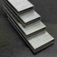 China 16 Gauge Electrogalvanized Furniture Staples Heavy Duty Fixing for sale