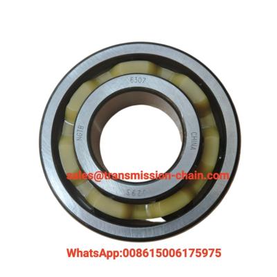 China NGTB 6307 Nylon Cage Deep Groove Ball Bearing With 29mm Inner Ring Thickness Automotive Applications 35 X 80 X 21 MM for sale
