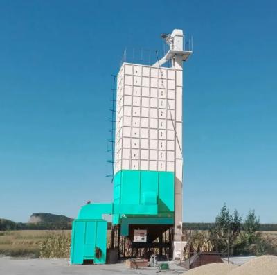 China Jawa high quality rice dryer supplier 30 tons stainless steel dryer indirct heating for sale