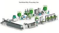 China Food Grade Stainless Steel Artificial Rice Processing Line with 200 kg/hr Capacity and Automated Temperature Control for sale