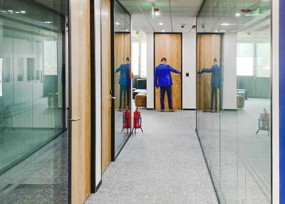 China Frameless Double Glazed Office Partitions Wall Door Aluminum Profile Customized Size for sale