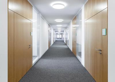 China Removable Interior Walls Office Partition Indoor Solid Partition Wall With Swing Door for sale