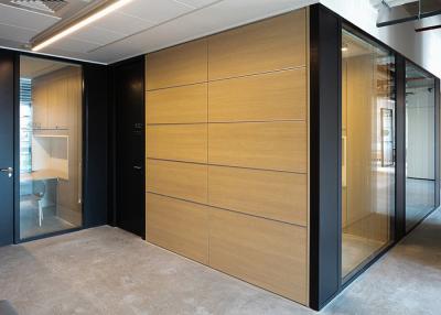 China Class A Safety Fire-resistant Glass Solid Partition Wall Steel Panel Durable For Office Partition Wall for sale