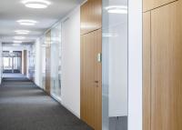 China solid partition color optional with Triamine board HPL steel panel indoor for sale
