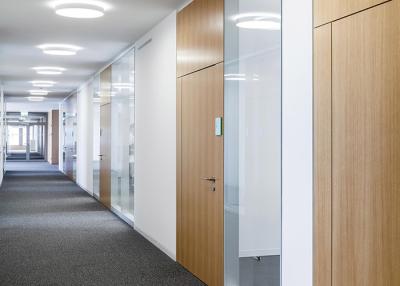 China solid partition color optional with Triamine board HPL steel panel indoor for sale