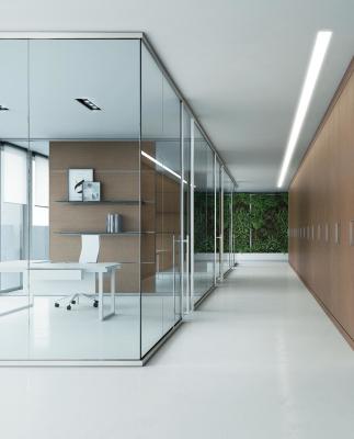 China Full View Office Wall Partition Single Layer Glass Without Aluminum Partition Type for sale