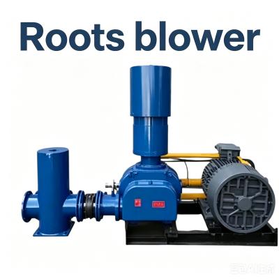 China Precision Roots Blower Stable Airflow Pressure Control For Combustion And Wastewater Treatment Equipment for sale