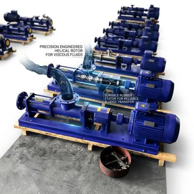China G50-1 Heavy Duty Single Screw Pump Paper Pulp Mining Slurry Transfer 22kW Cast Iron for sale