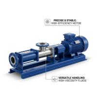 China G50-1 Heavy Duty Single Screw Pump Paper Pulp Mining Slurry Transfer 22kW Cast Iron for sale