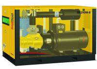 China Professional Reliable 220kw  Twin Screw Compressor CE Certificate for sale