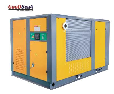 China 200kw 20bar Industrial  Rotary  High Pressure Screw Air Compressor for sale