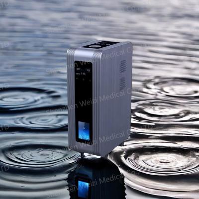 China WEIZI Medical Hydrogen Inhalation Machine 3000ml/min with 8-Hour Timer and Aviation-Grade Aluminum Housing for sale