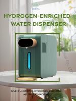 China WEIZI WZ-YZ-C900F1 Hydrogen Water Generator with 2000ppb Concentration and 50°C Temperature Range for sale