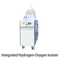 China WEIZI WZ-HX2000 Hydrogen Oxygen Negative Ion Generator with 10.4