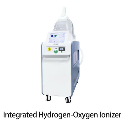 China WEIZI WZ-HX2000 Hydrogen Oxygen Negative Ion Generator with 10.4