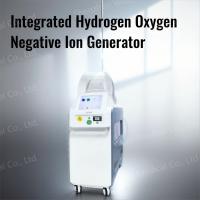 China WEIZI WZ-HX2000 Hydrogen Oxygen Negative Ion Generator with 10.4