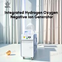 China WEIZI WZ-HX2000 7L/min Hydrogen Oxygen Ion Generator with 10.4-inch Display and 1000W Power for sale