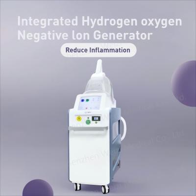 China WEIZI 220V Hydrogen Oxygen Negative Ion Generator 1000W 68kg with 10.4 Inch Display for Air Purification for sale