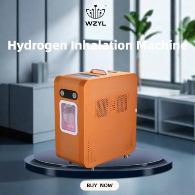 China Weizi Large Flow Hydrogen Inhalation Machine 3000ml 50Hz 2000ml H2 1000ml O2 for sale