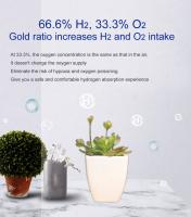 China Portable Hydrogen Inhalation Machine 600ml H2 300ml O2 SPE PEM Home Therapy 3-Year Warranty for sale
